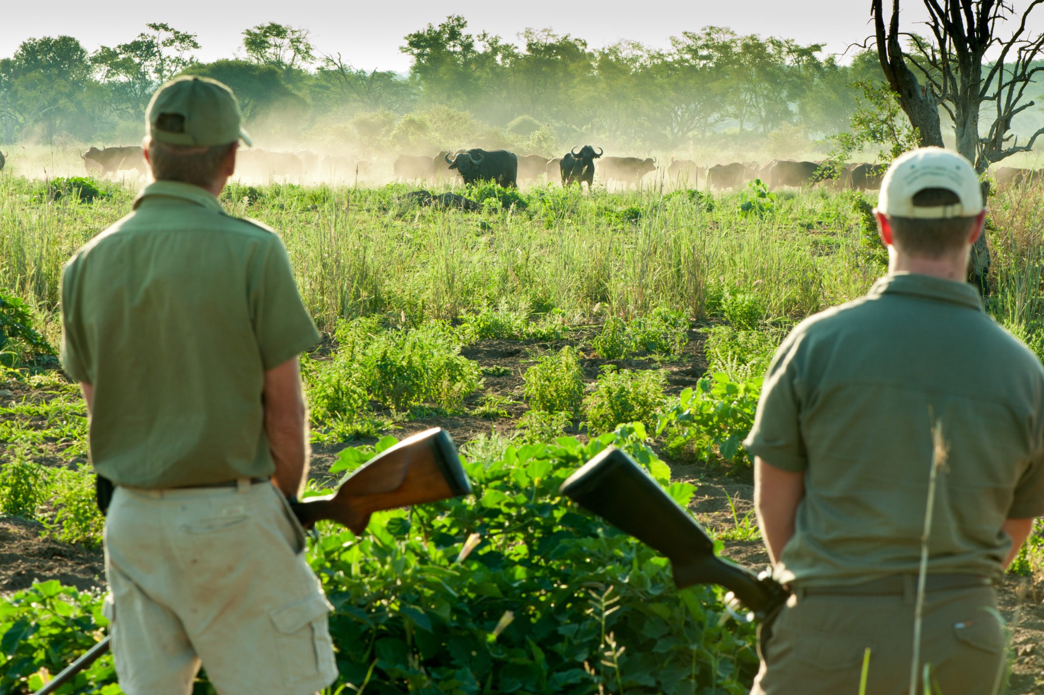 Trails Guide Course (28 Days) | Safari Guide Training | SAFARI FRANK