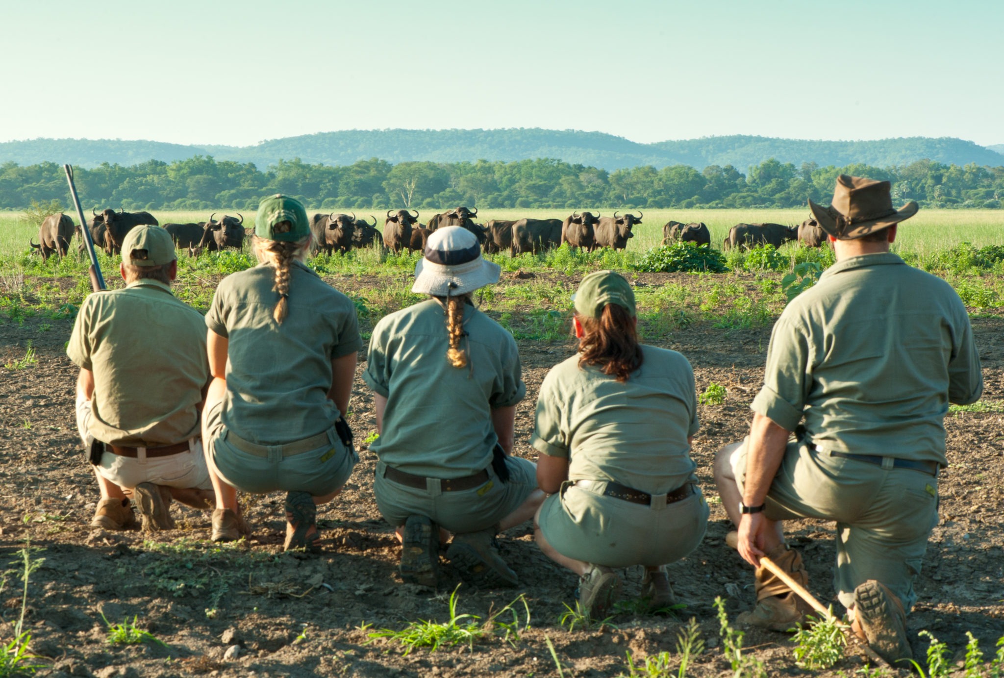 All Training Courses | Safari Guide Training | SAFARI FRANK