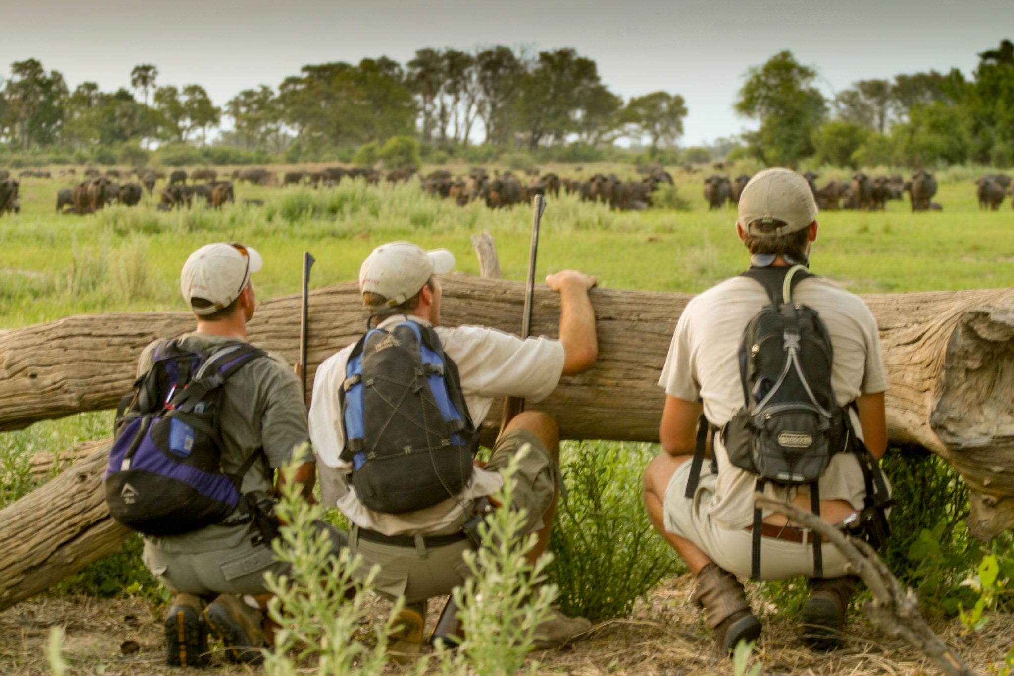 Bush Skills Training in the Okavango Delta | SAFARI FRANK