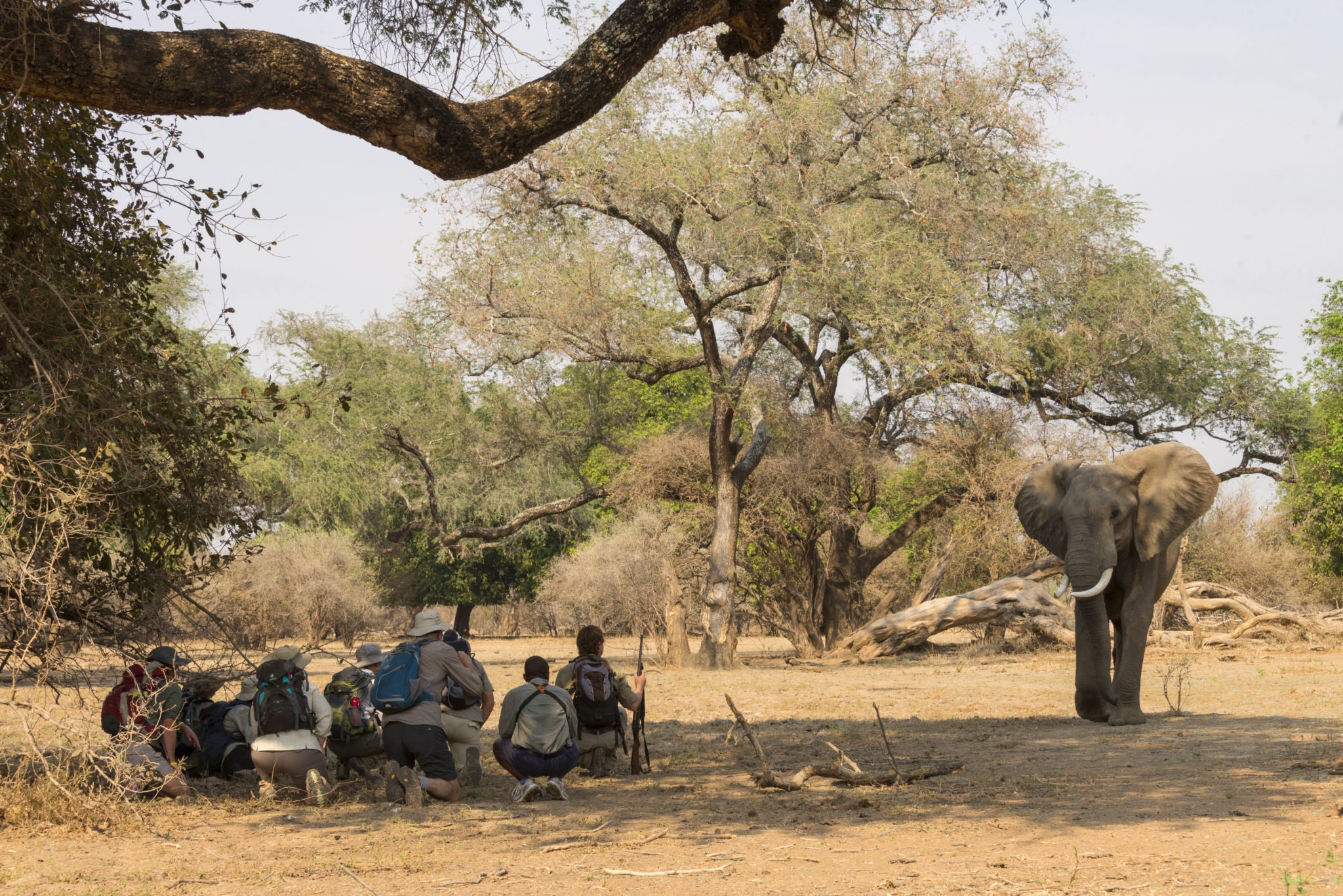 What is your definition of wilderness? | SAFARI FRANK UK