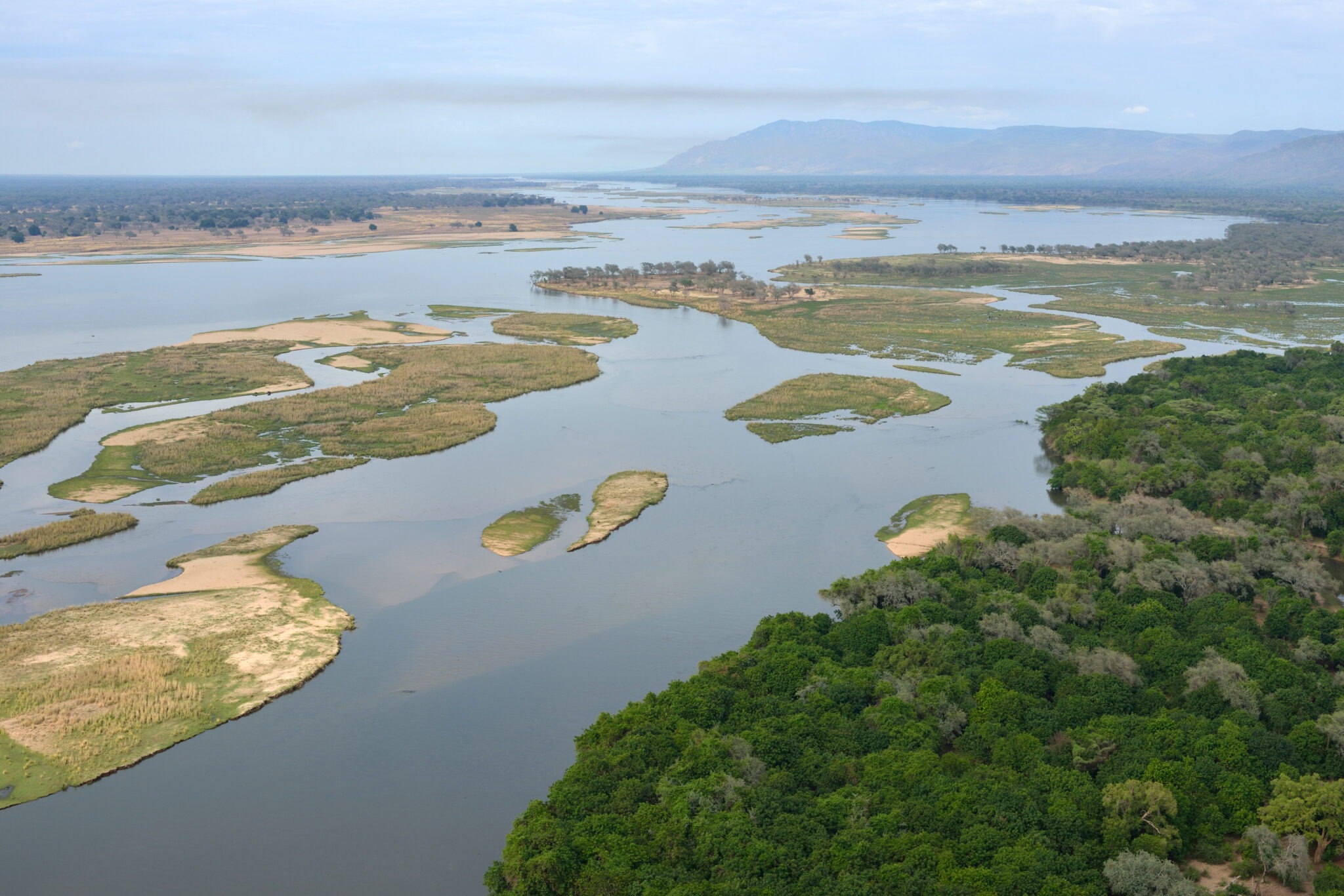 Potato Bush Camp | Lower Zambezi National Park | SAFARI FRANK
