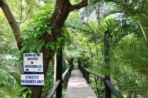Victoria Falls Waterfront | Livingstone Zambia | SAFARI FRANK
