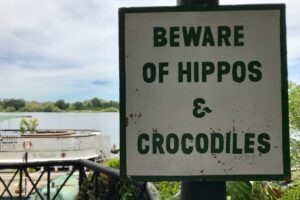 Victoria Falls Waterfront | Livingstone Zambia | SAFARI FRANK