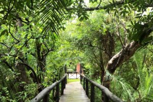 Victoria Falls Waterfront | Livingstone Zambia | SAFARI FRANK