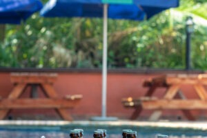 Victoria Falls Waterfront | Livingstone Zambia | SAFARI FRANK