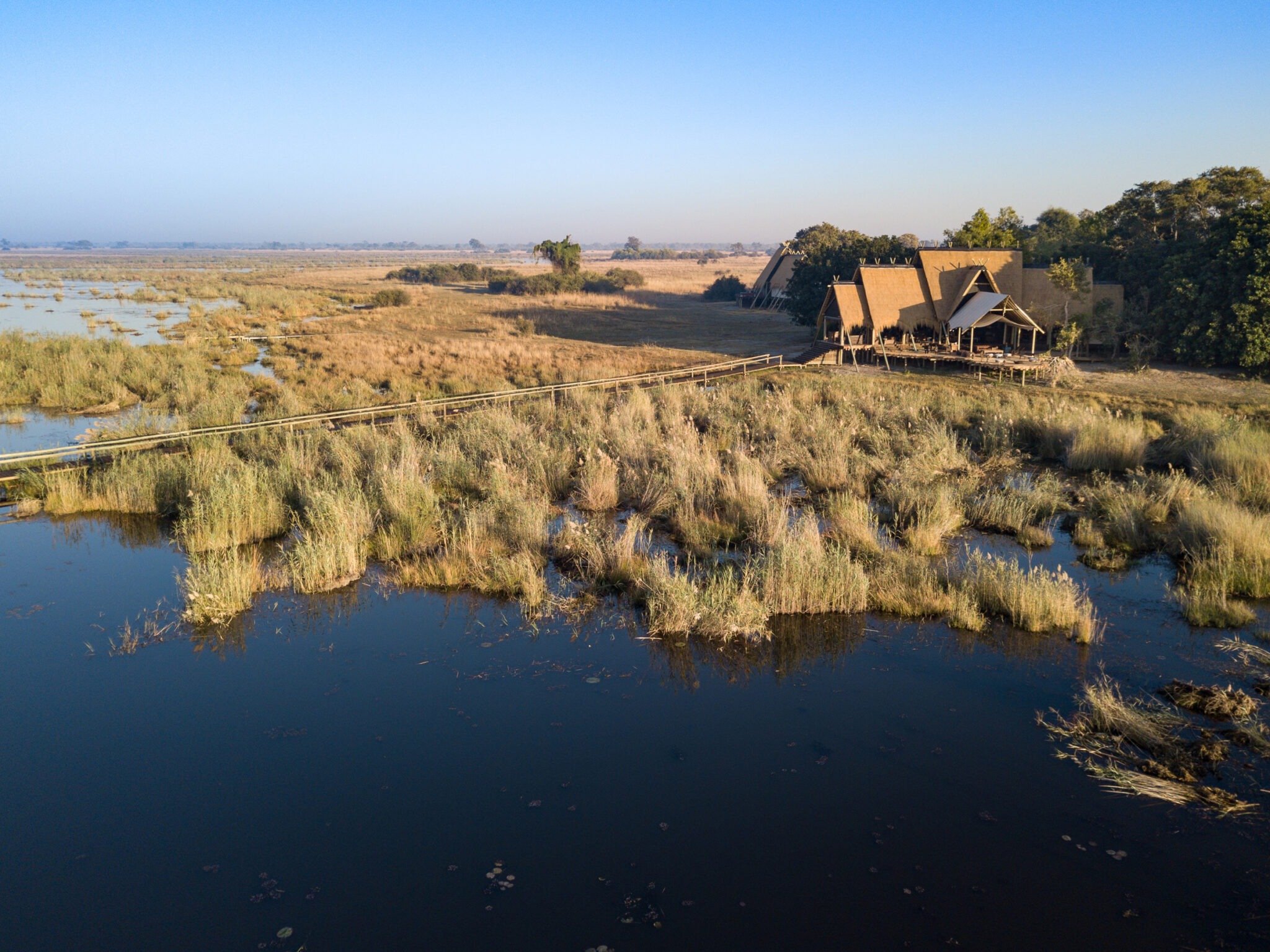 Selinda Camp | SAFARI FRANK