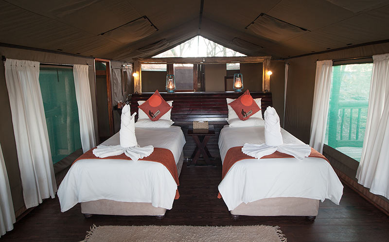 Moremi Crossing | Okavango Delta Safari Camp | SAFARI FRANK