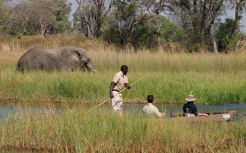 Moremi Crossing | Okavango Delta Safari Camp | SAFARI FRANK