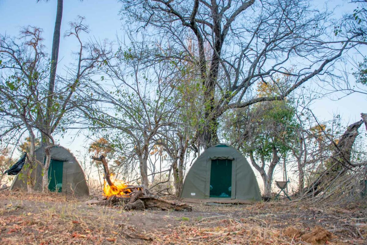 Moremi Crossing | Okavango Delta Safari Camp | SAFARI FRANK