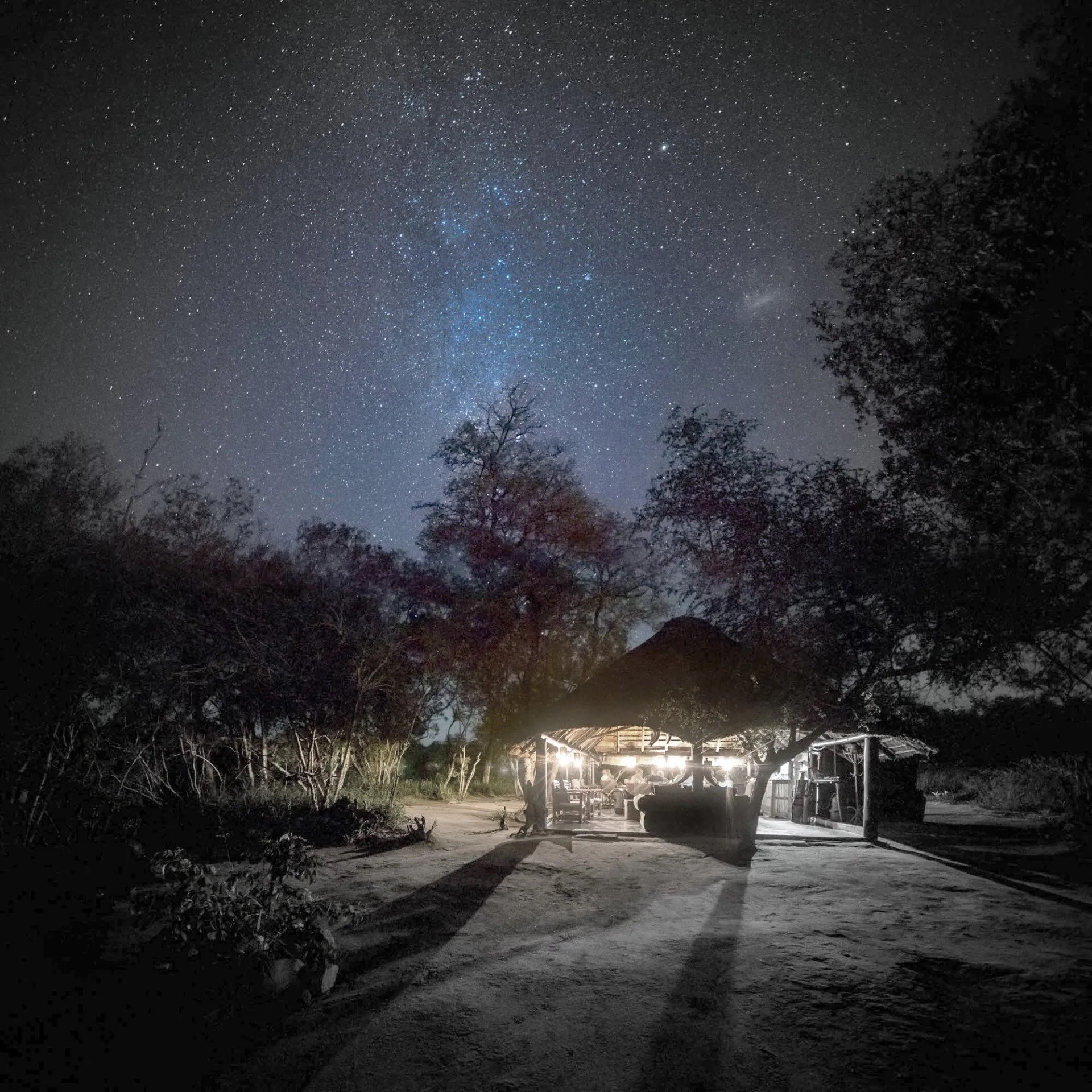 Pungwe Safari Camp | Greater Kruger National Park | SAFARI FRANK