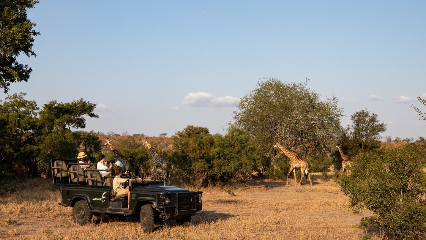MalaMala Sable Camp | MalaMala Game Reserve | SAFARI FRANK