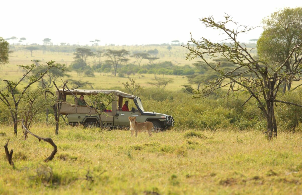 Saruni Eagle View | Masai Mara | SAFARI FRANK