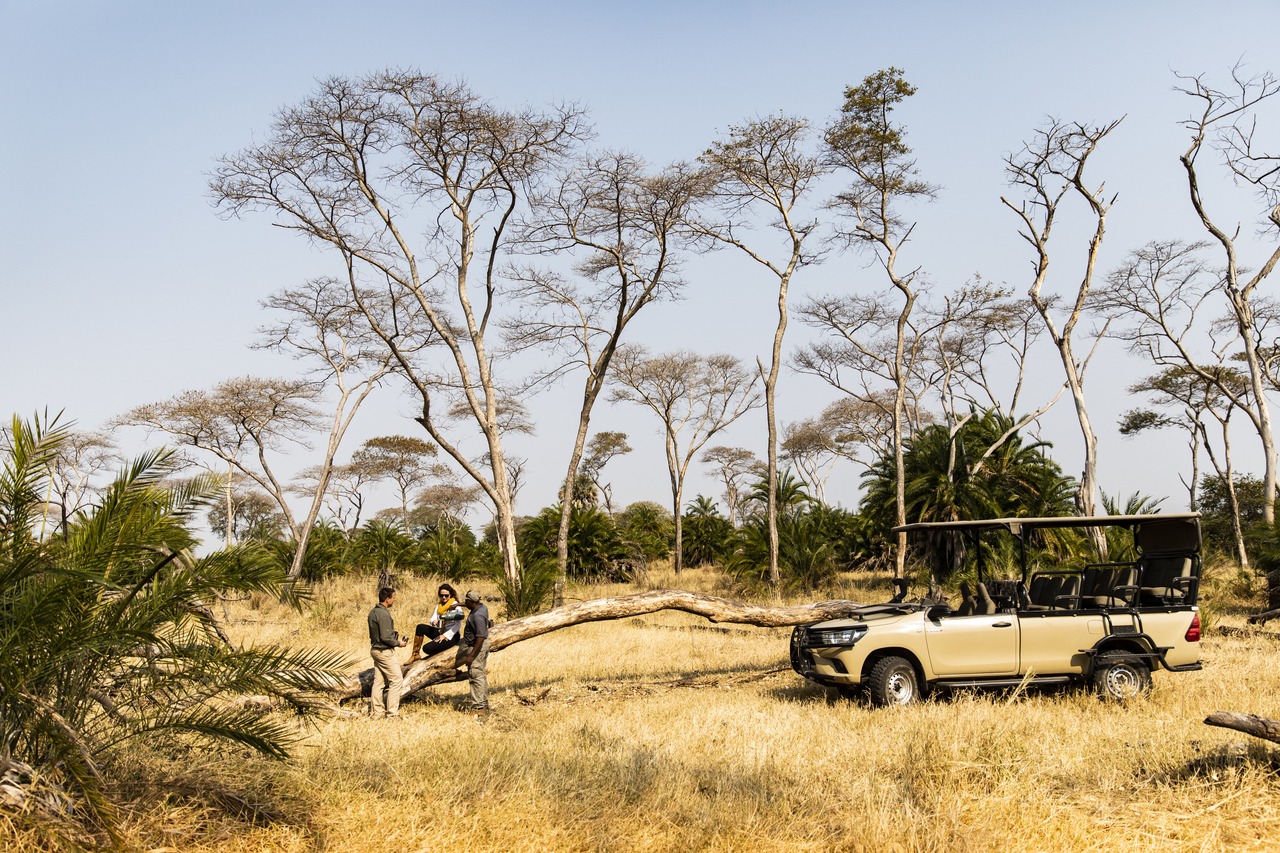 Busanga Bush Camp | Kafue National Park | SAFARI FRANK