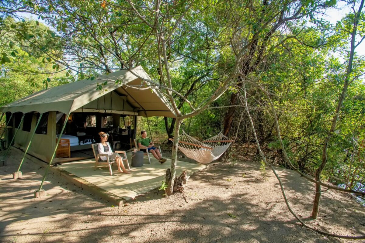Tsowa Safari Island | Zambezi National Park | SAFARI FRANK AU