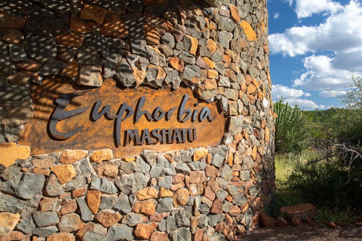Mashatu Euphorbia Villas | Mashatu Game Reserve | SAFARI FRANK