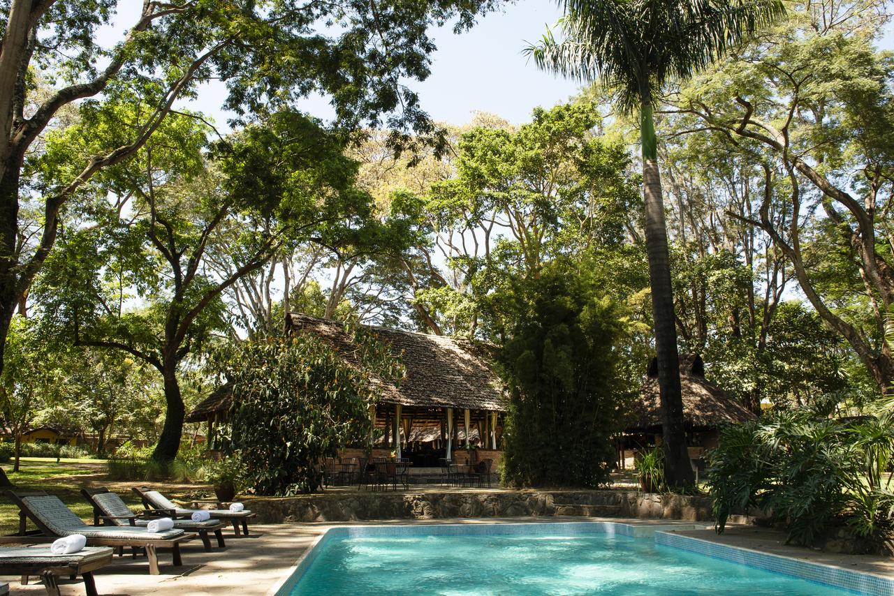 Rivertrees Country Inn | Tanzania | SAFARI FRANK