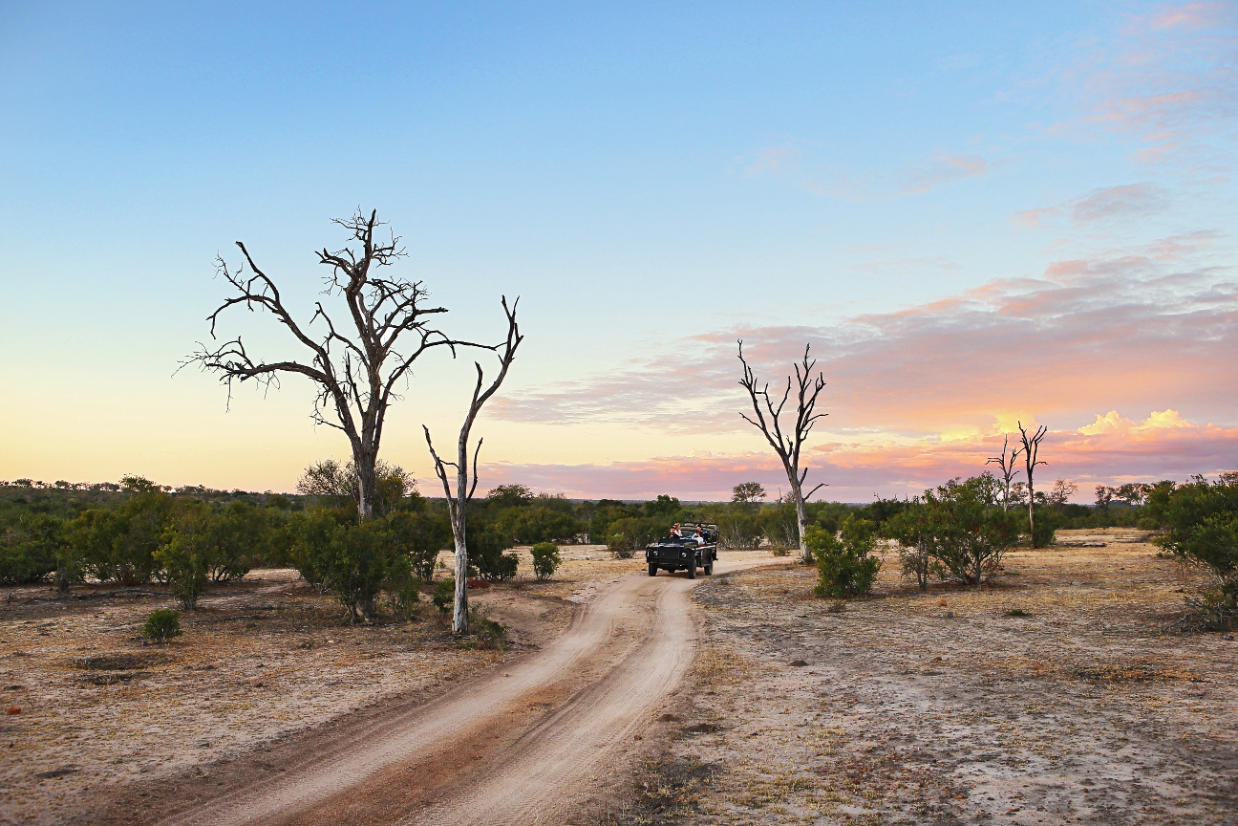 Londolozi Varty Camp | South Africa | SAFARI FRANK
