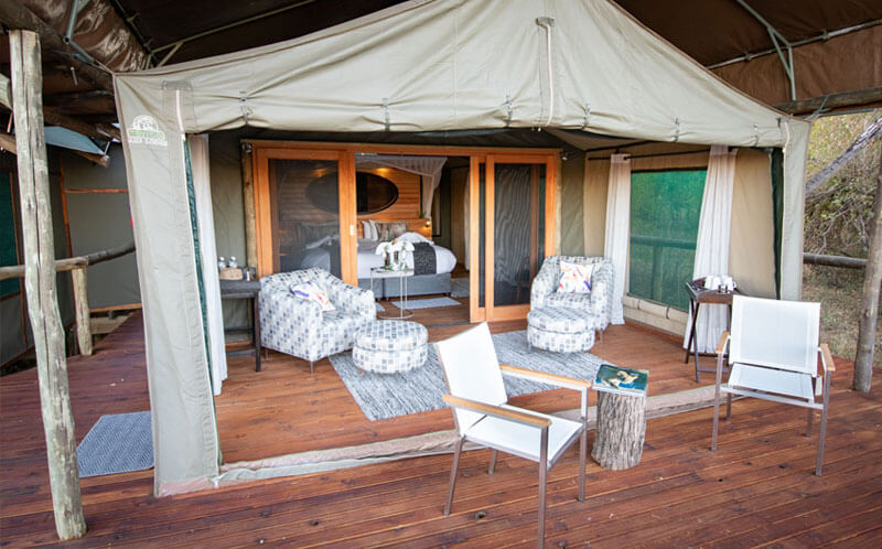 Mma Dinare | SAFARI FRANK