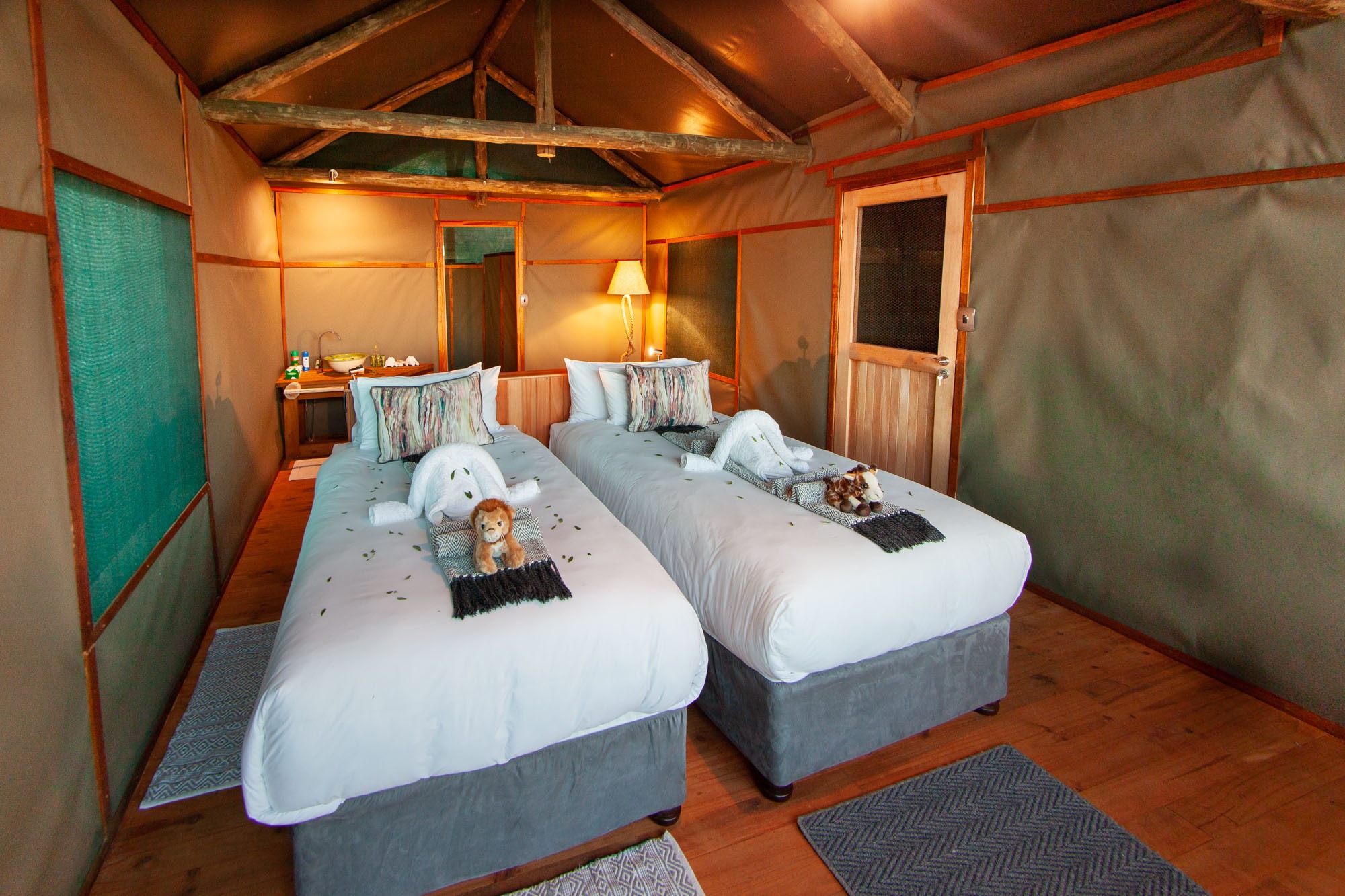 Mma Dinare | SAFARI FRANK