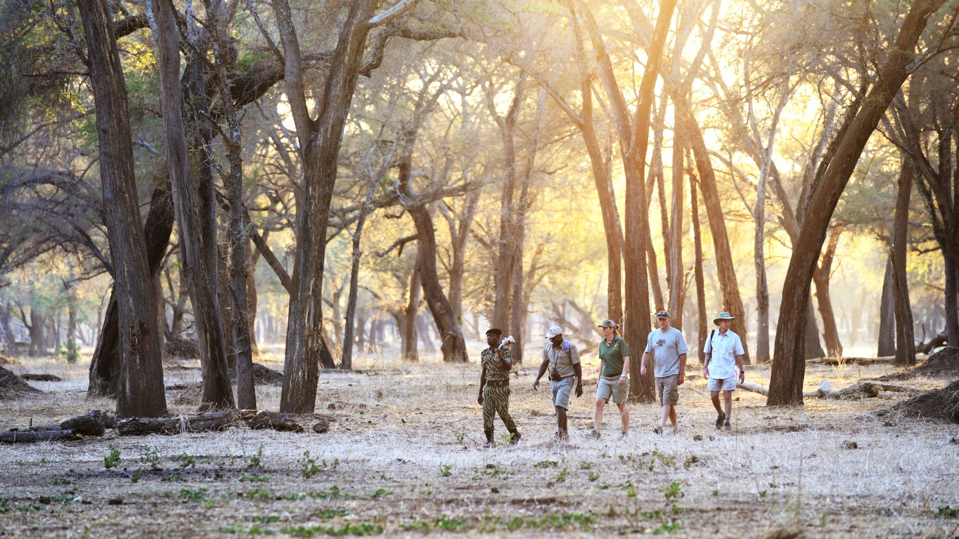 Chiawa Camp | Luxury Lodge Zambia | SAFARI FRANK