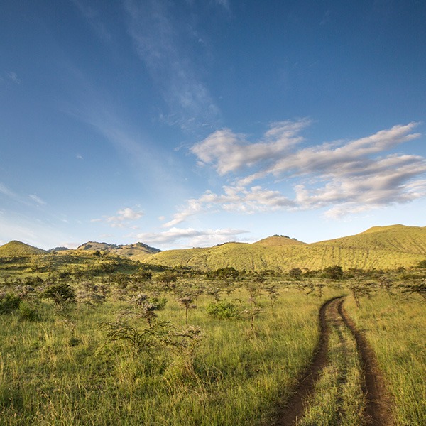 Chyulu Wilderness Camp | SAFARI FRANK