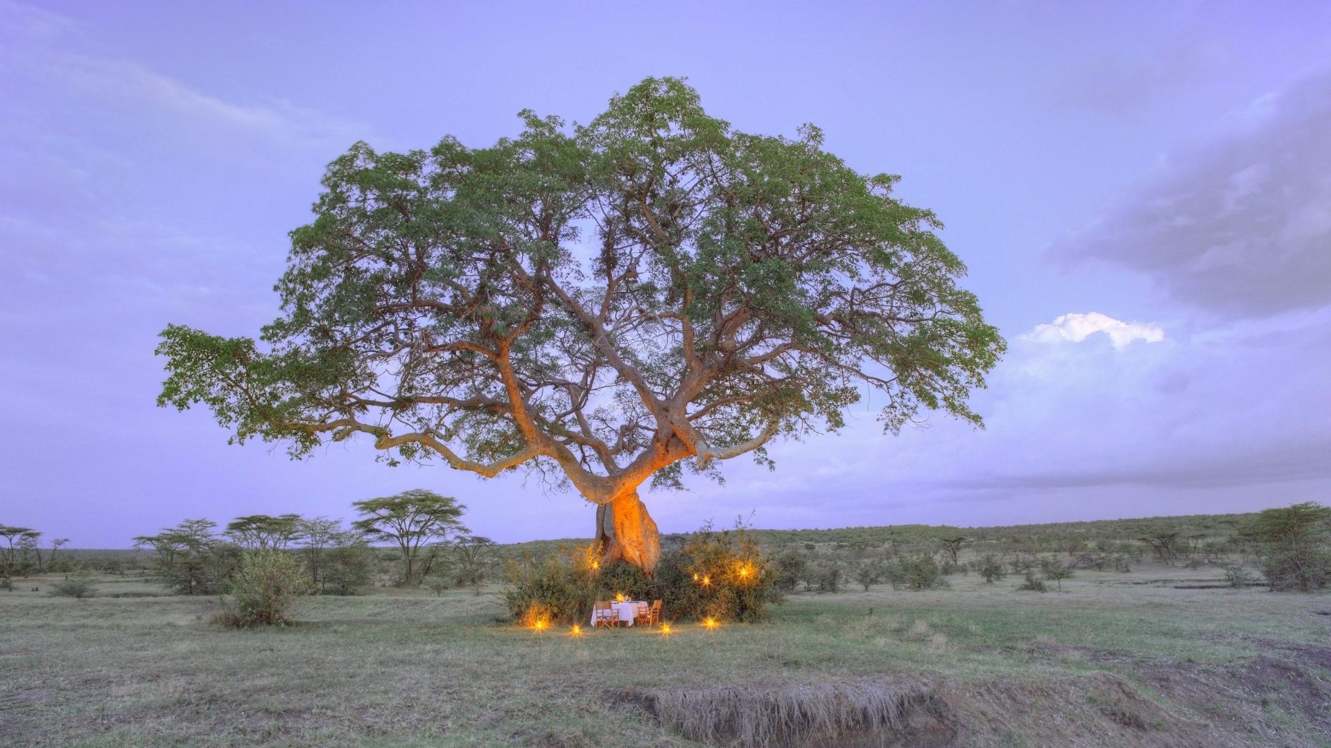 Saruni Leopard Hill | SAFARI FRANK