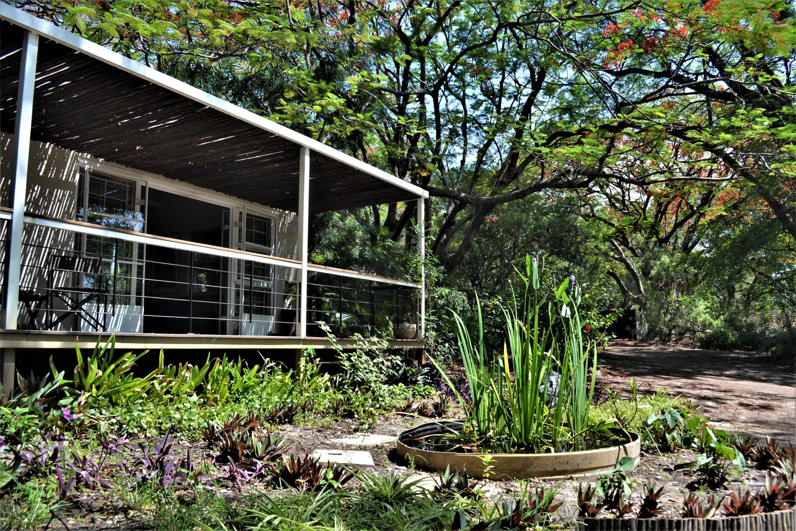 The Maun Studios | SAFARI FRANK